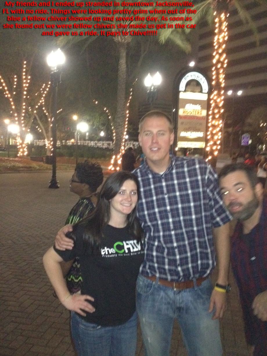 Chive Everywhere (88 Photos)