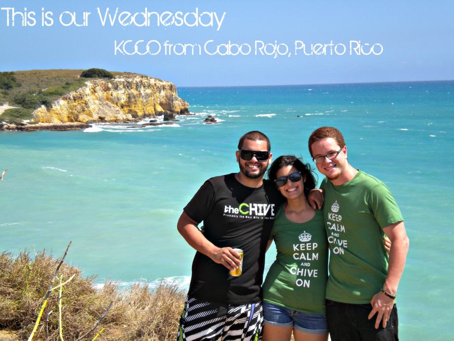 Chive Everywhere (88 Photos)