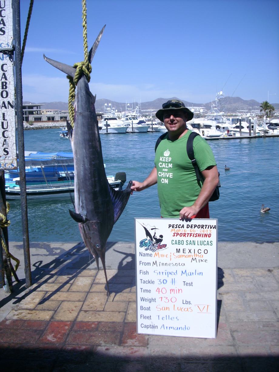 Chive Everywhere (88 Photos)