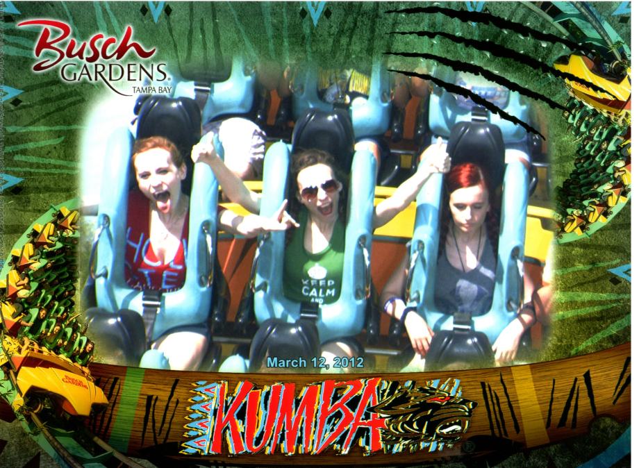 Chive Everywhere (88 Photos)