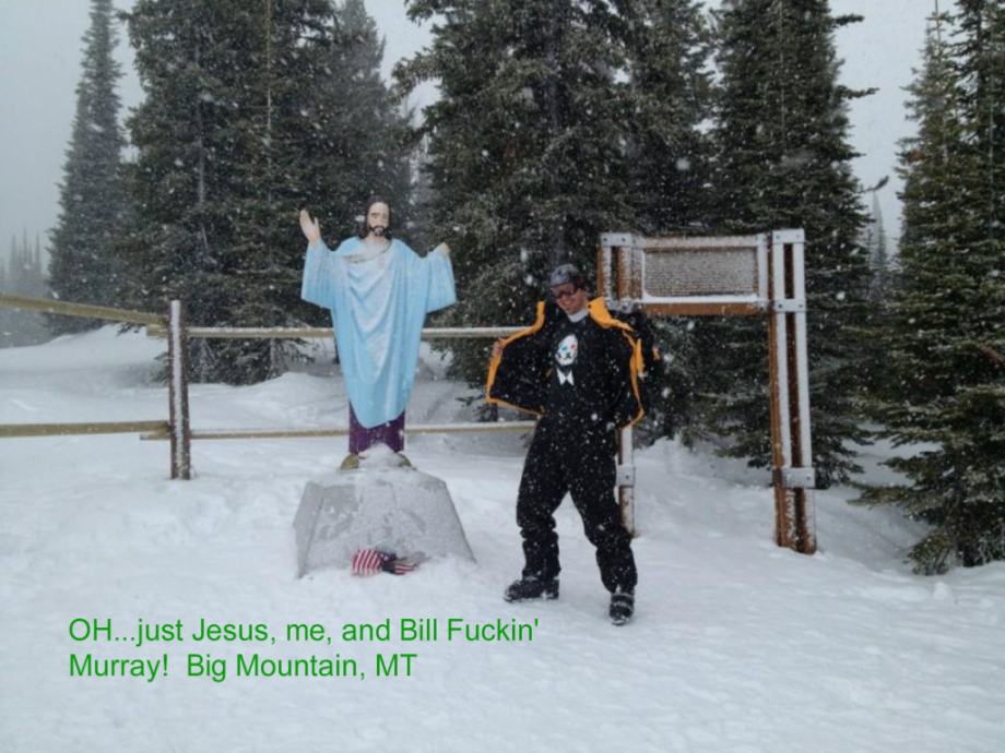 Chive Everywhere (88 Photos)