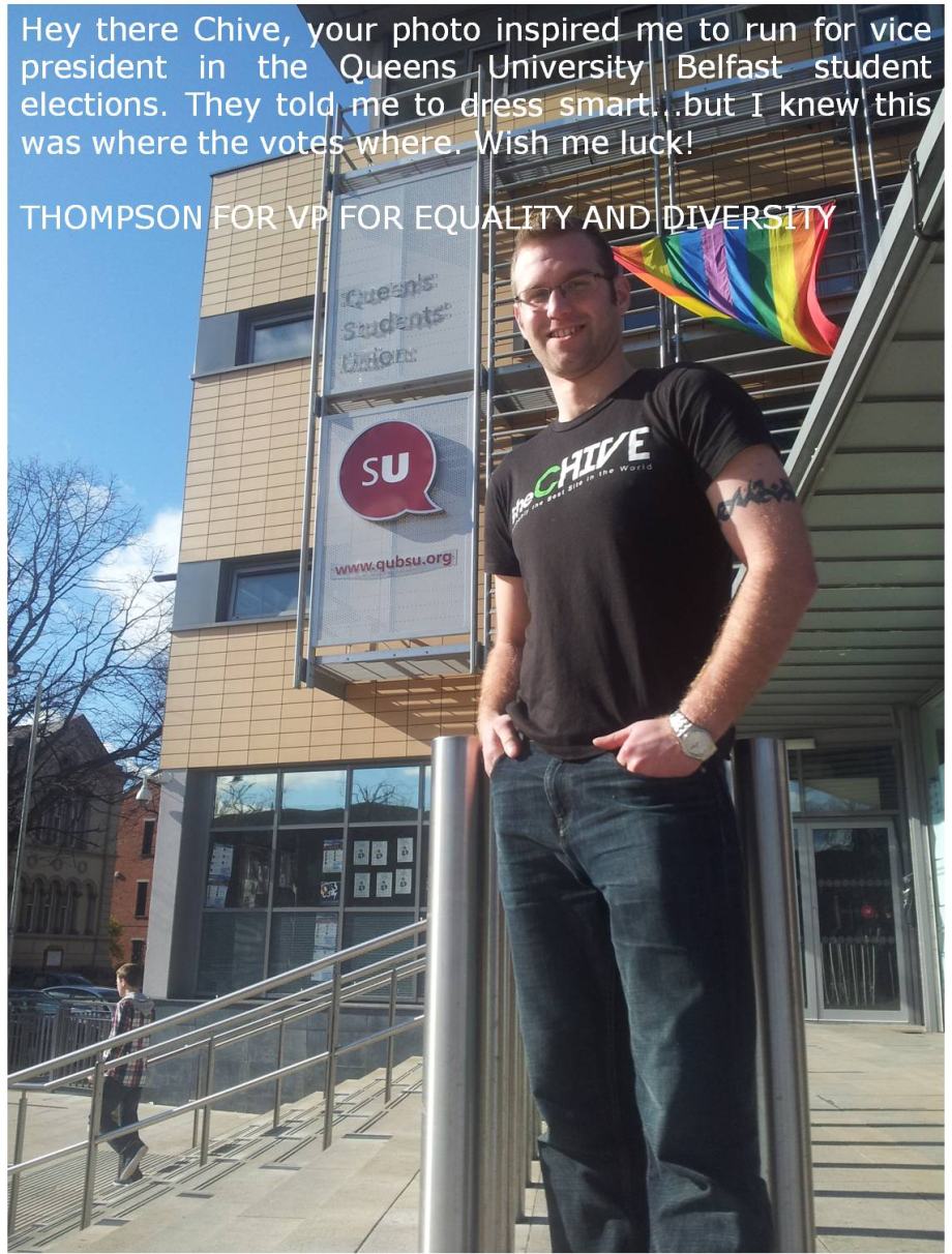 Chive Everywhere (88 Photos)