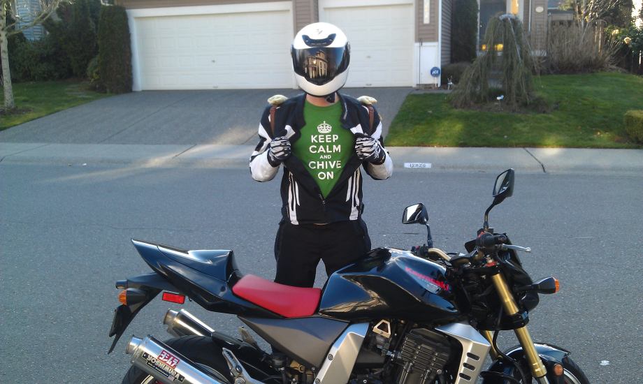 Chive Everywhere (75 Photos)