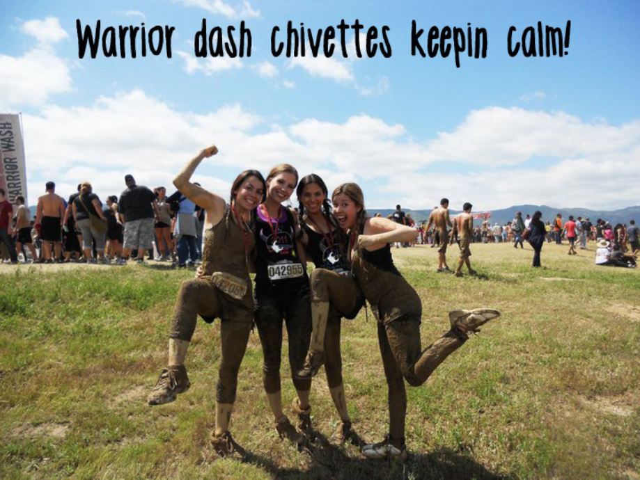 Chive Everywhere (87 HQ Photos)