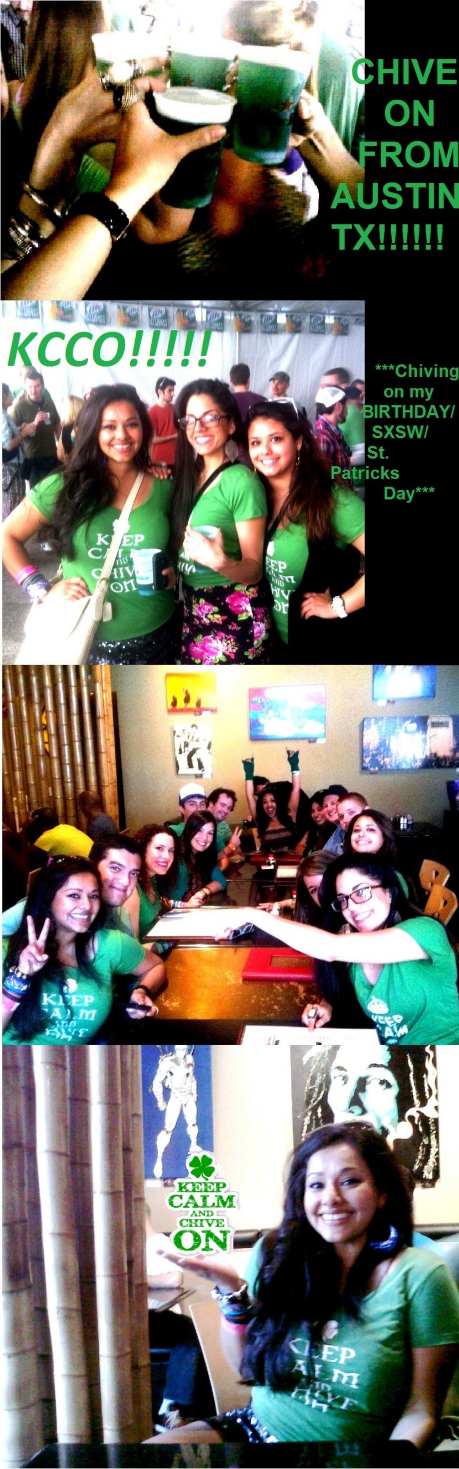 Chive Everywhere (87 HQ Photos)