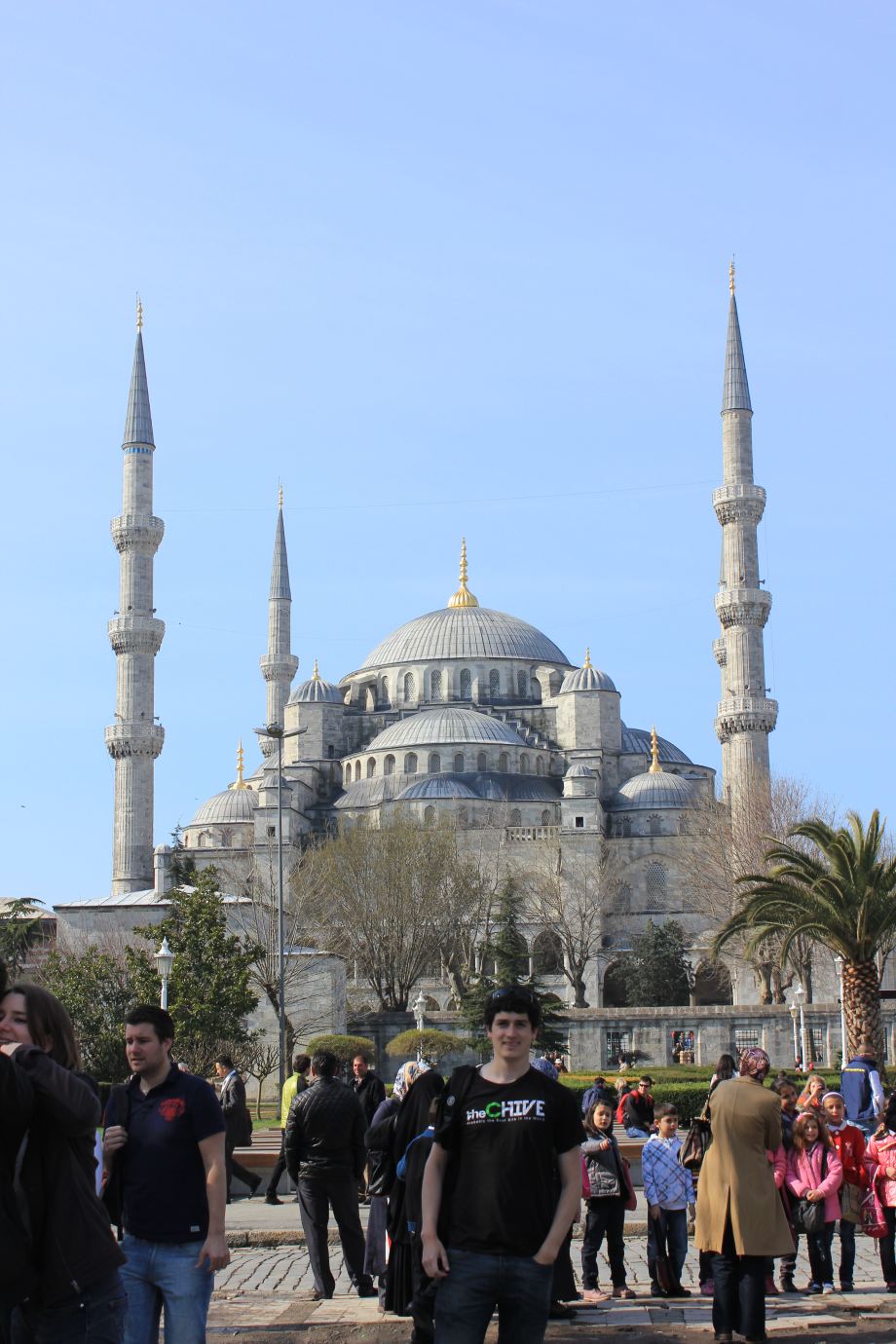 Chive Everywhere (87 HQ Photos)