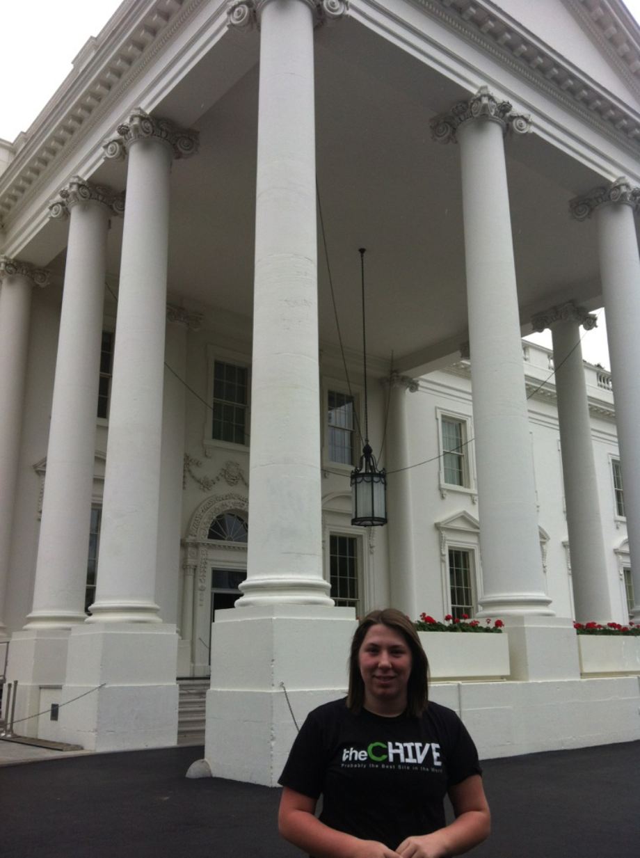 Chive Everywhere (87 HQ Photos)