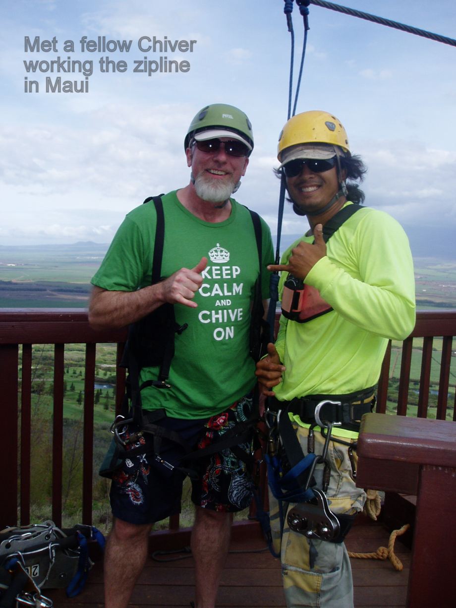 Chive Everywhere (87 HQ Photos)