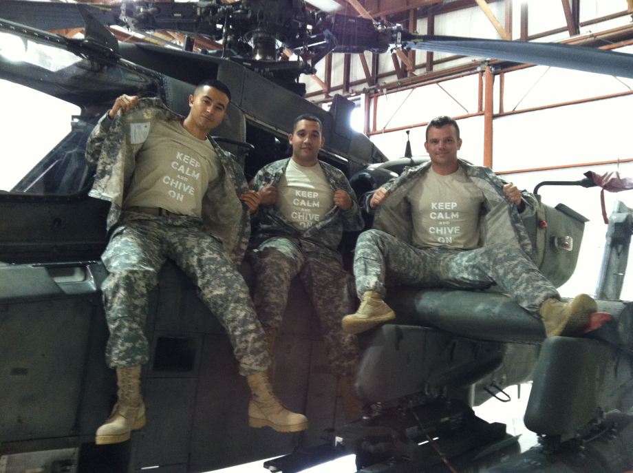 Chive Everywhere (87 HQ Photos)