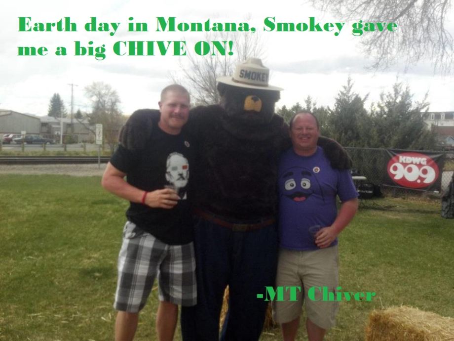 Chive Everywhere (87 HQ Photos)