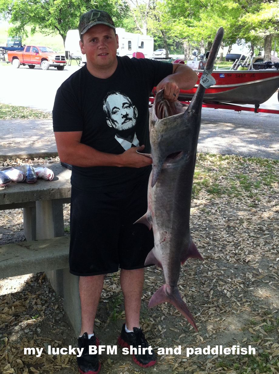 Chive Everywhere (88 HQ Photos)