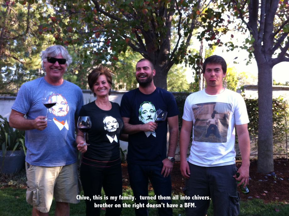 Chive Everywhere (88 HQ Photos)