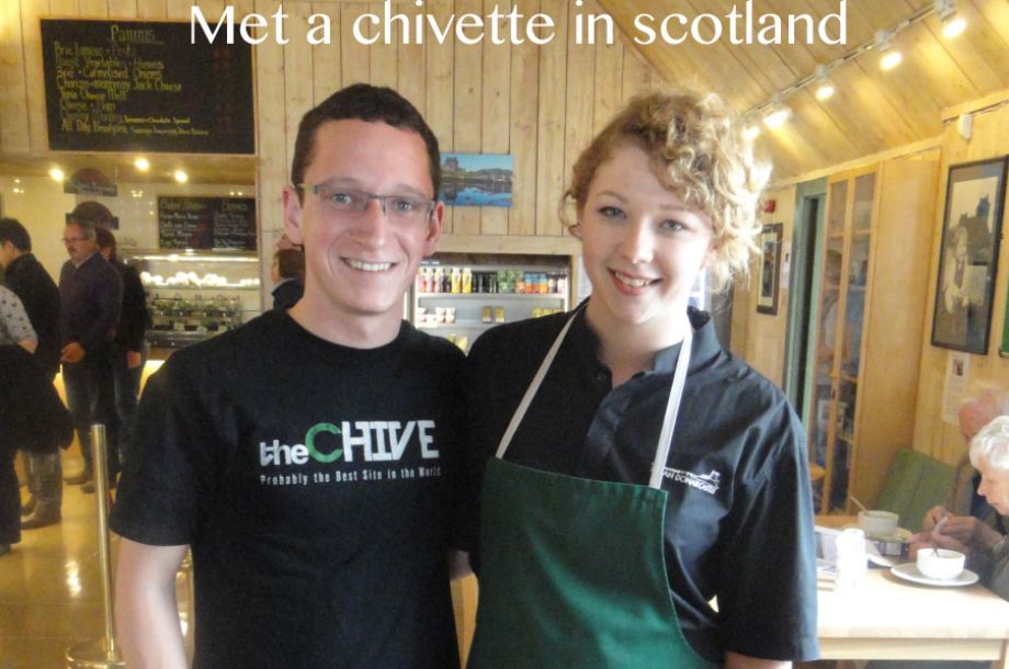 Chive Everywhere (93 Photos)