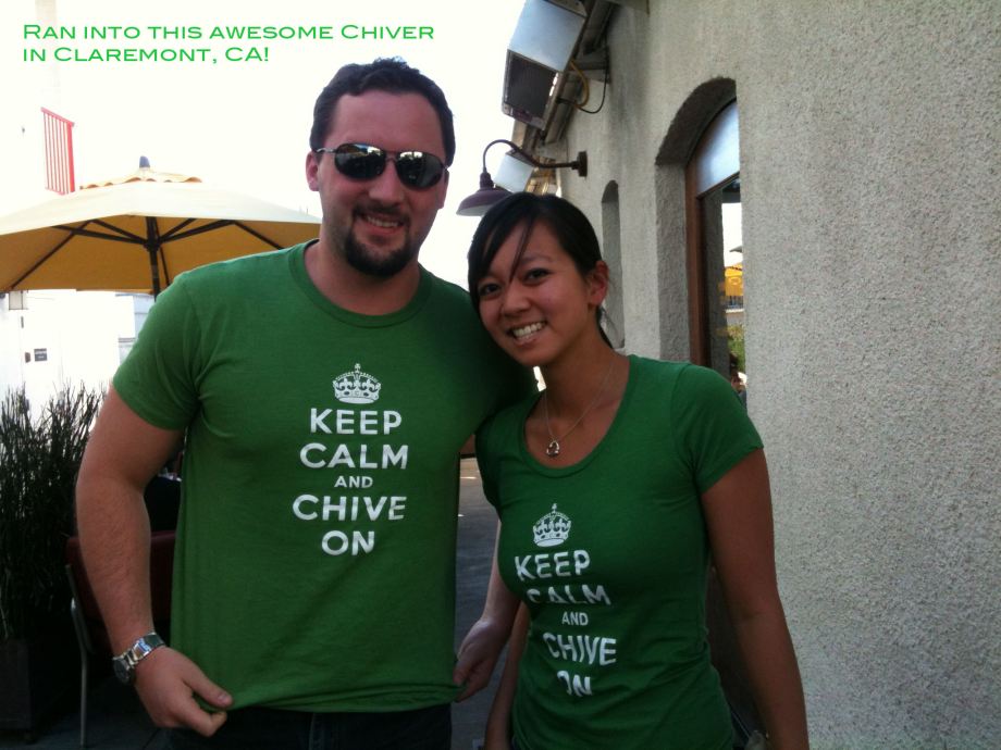 Chive Everywhere (93 Photos)