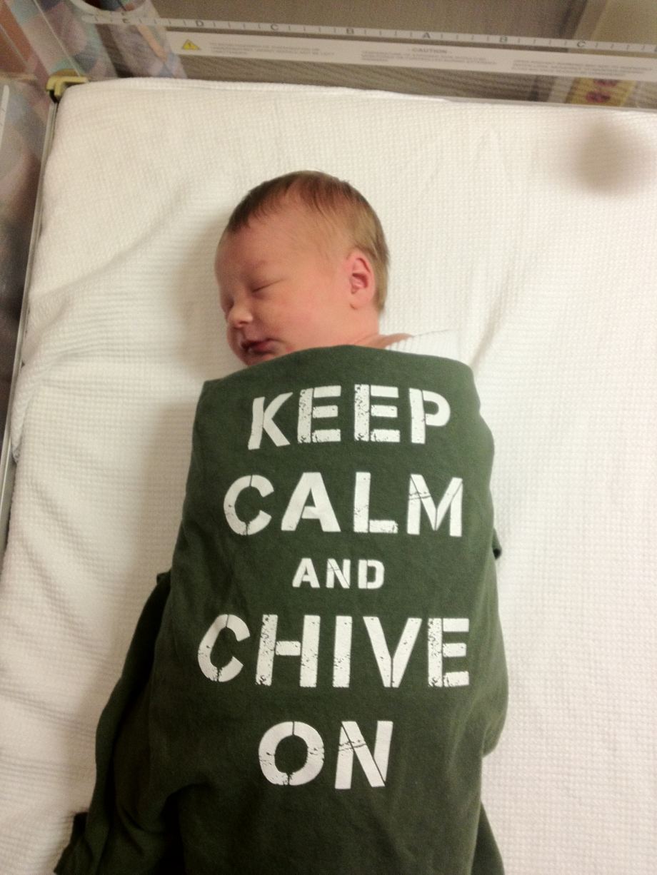 Chive Everywhere (93 Photos)