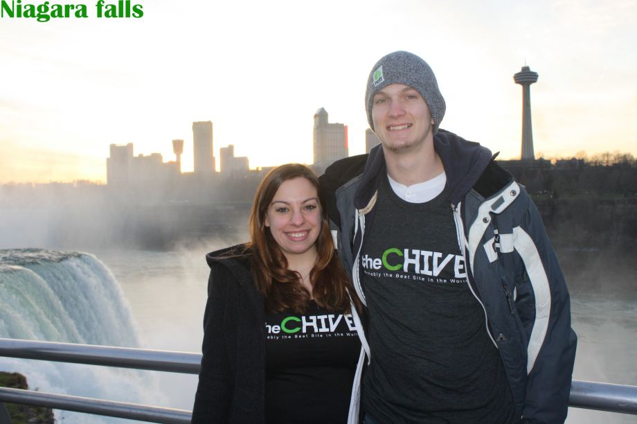 Chive Everywhere (80 HQ Photos)