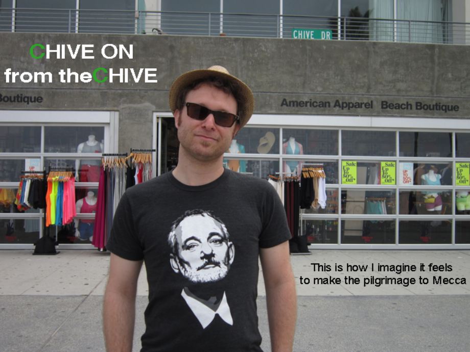 Chive Everywhere (80 HQ Photos)