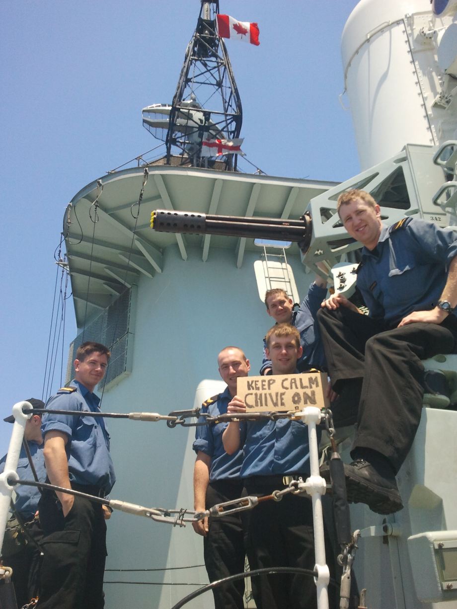 Chive Everywhere (80 HQ Photos)