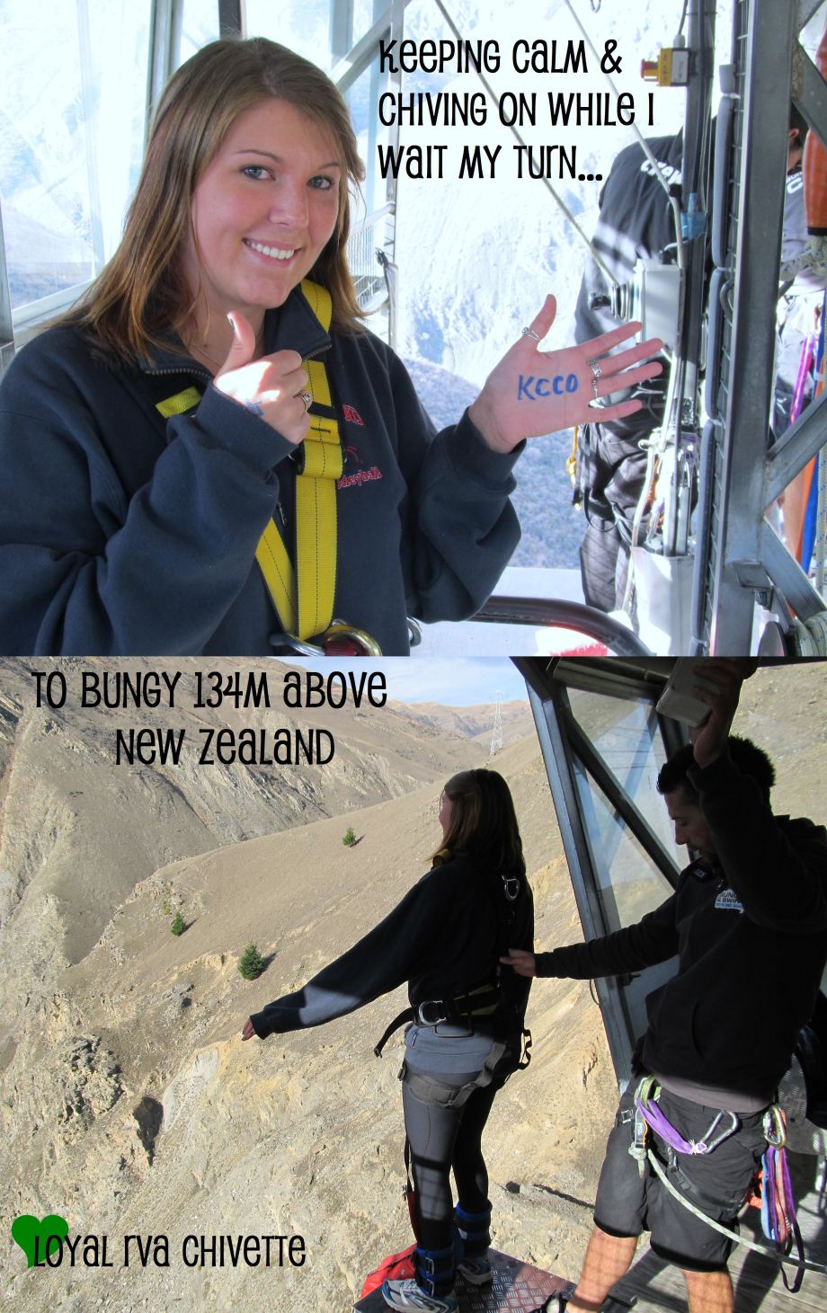 Chive Everywhere (80 HQ Photos)