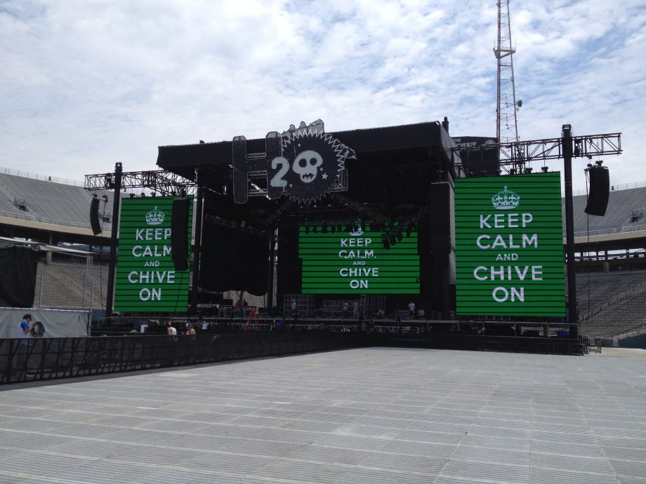 Chive Everywhere (80 HQ Photos)