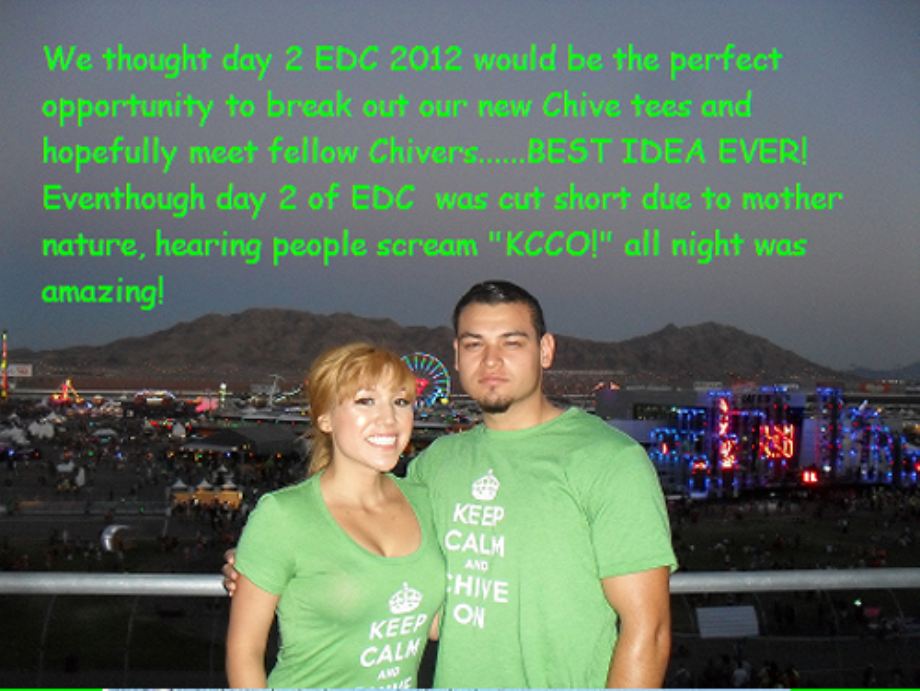 Chive Everywhere (80 HQ Photos)