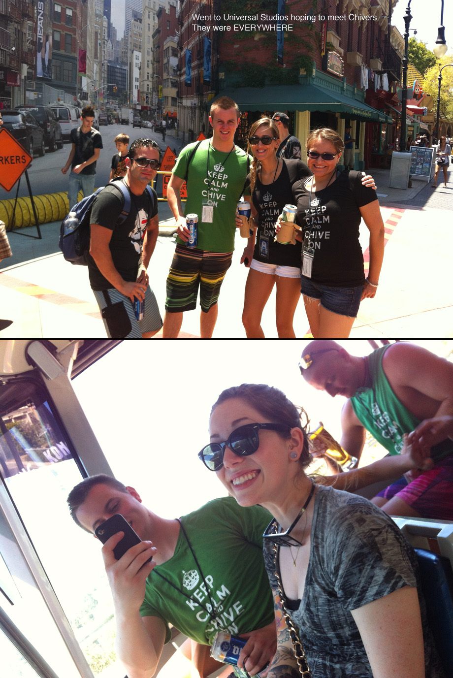 Chive Everywhere (74 Photos)