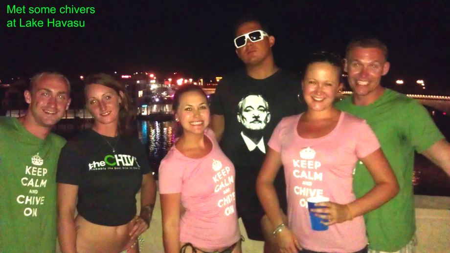 Chive Everywhere (80 Photos)