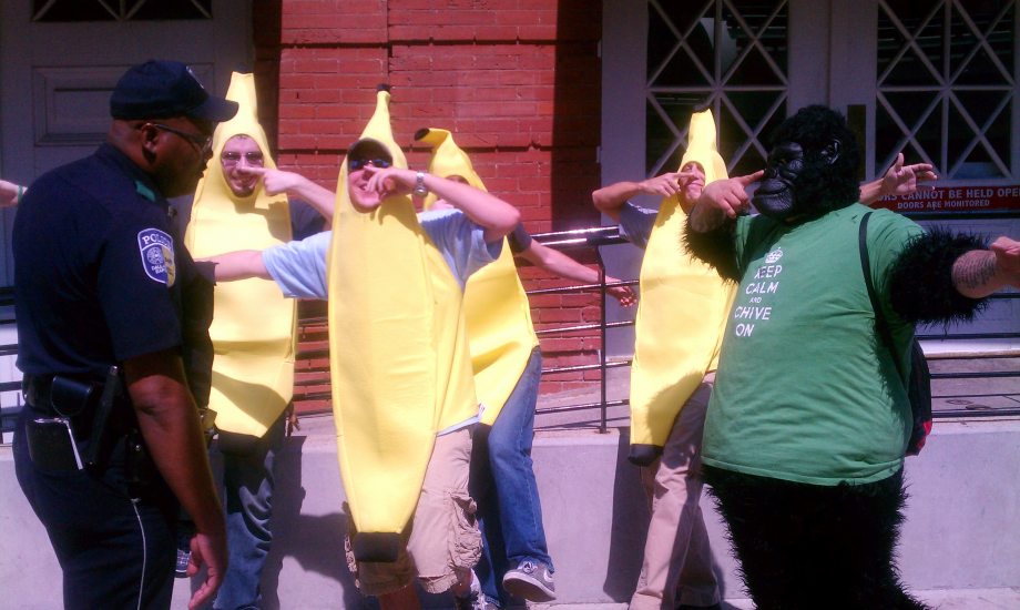 Chive Everywhere (89 Photos)