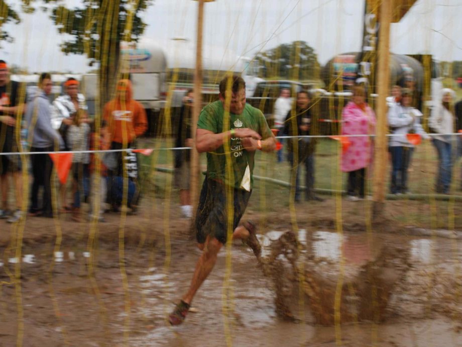 Chive Everywhere (78 Photos)