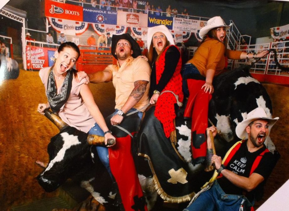 Chive Everywhere (78 Photos)