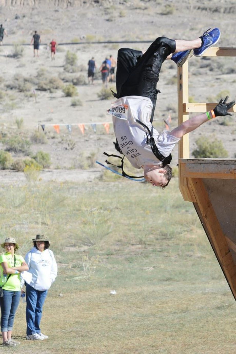 Chive Everywhere (78 Photos)