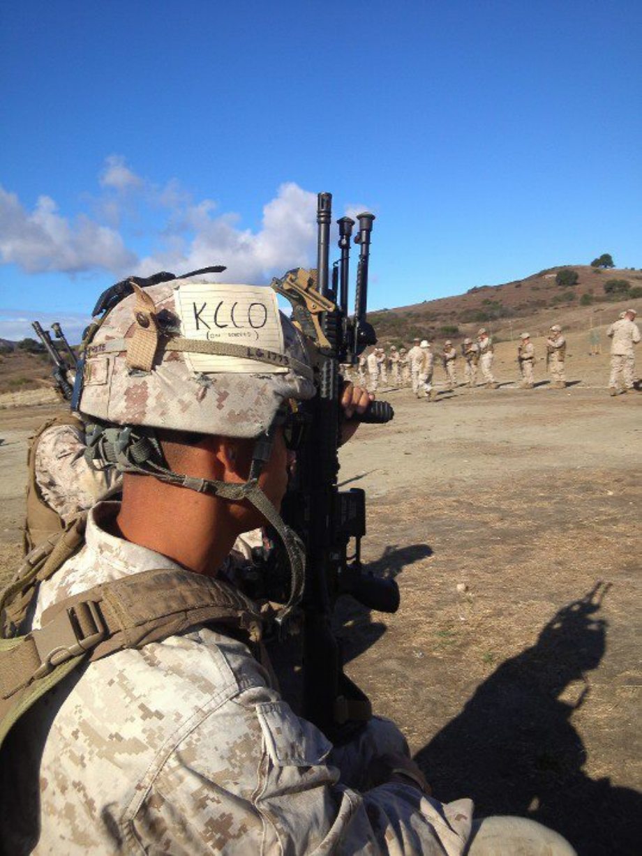 Chive Everywhere (78 Photos)