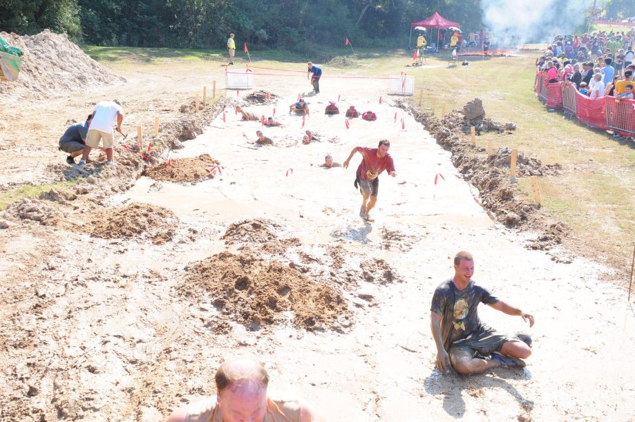 Chive Everywhere (78 Photos)