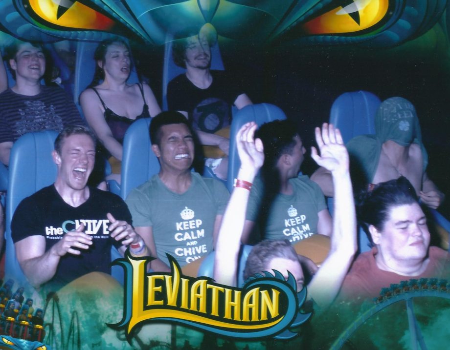 Chive Everywhere (78 Photos)