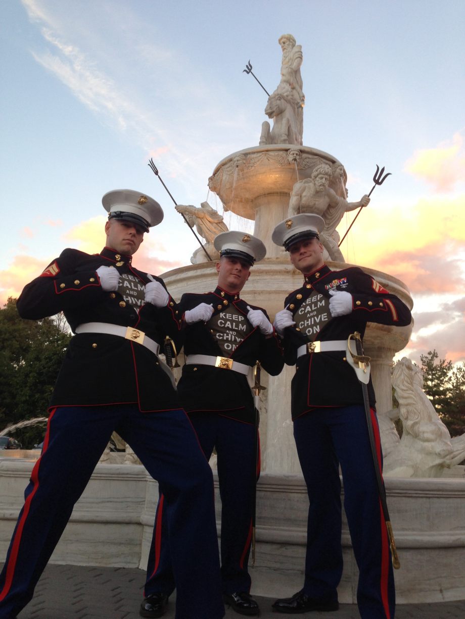 Chive Everywhere (72 Photos)