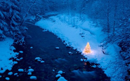 A Chive Merry Christmas