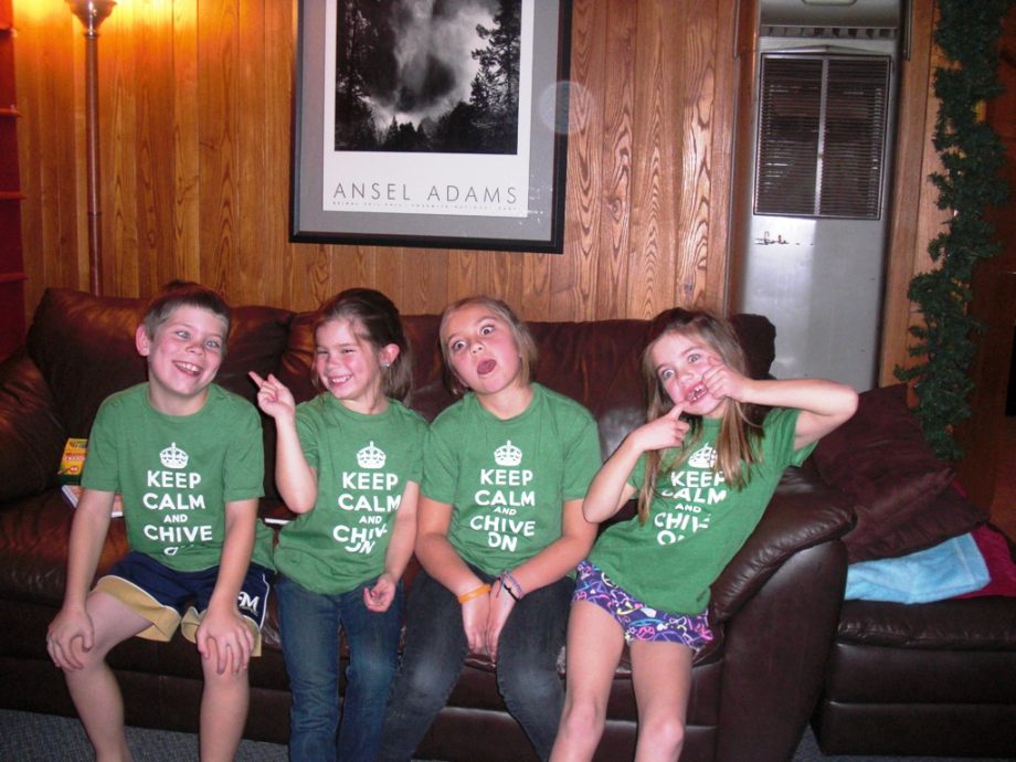 Chive Everywhere (79 Photos)