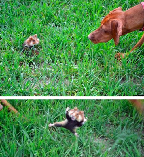 Daily Morning Awesomeness