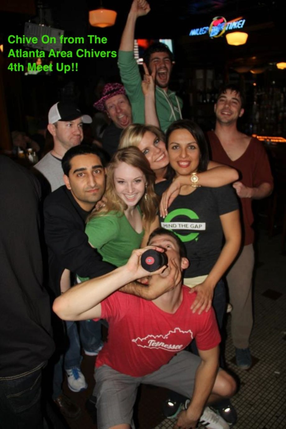 Chive Everywhere (68 Photos)