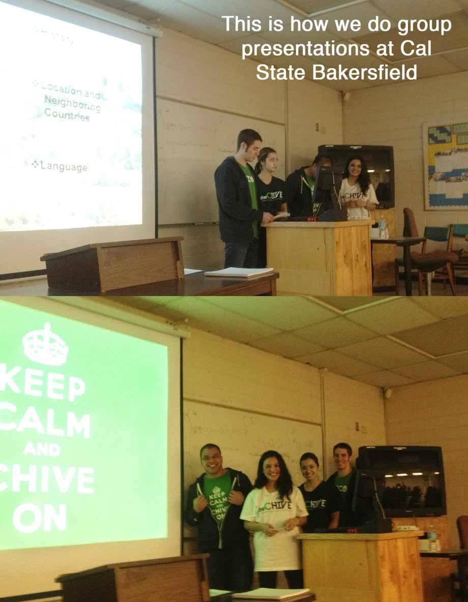 Chive Everywhere (73 Photos)