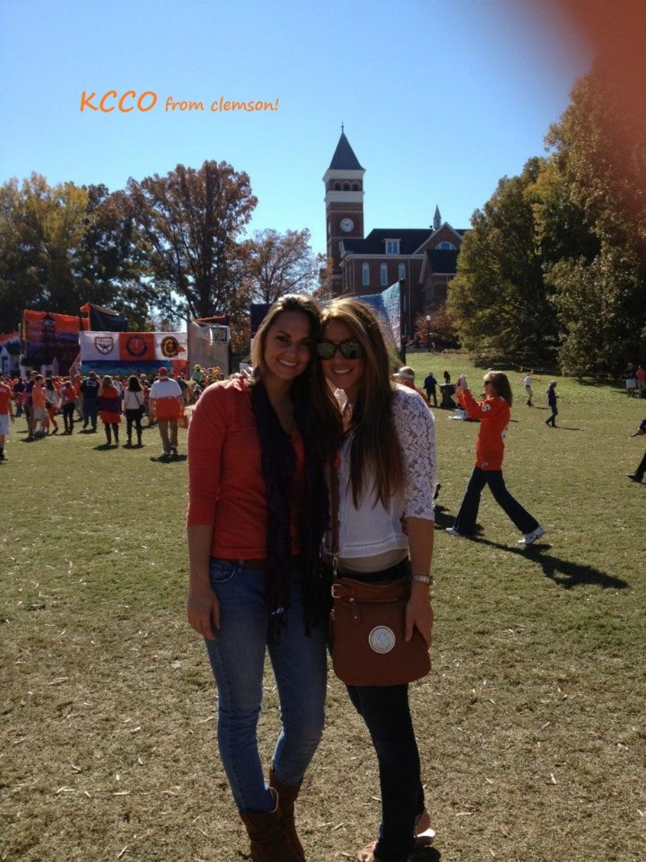 Chive Everywhere (68 Photos)