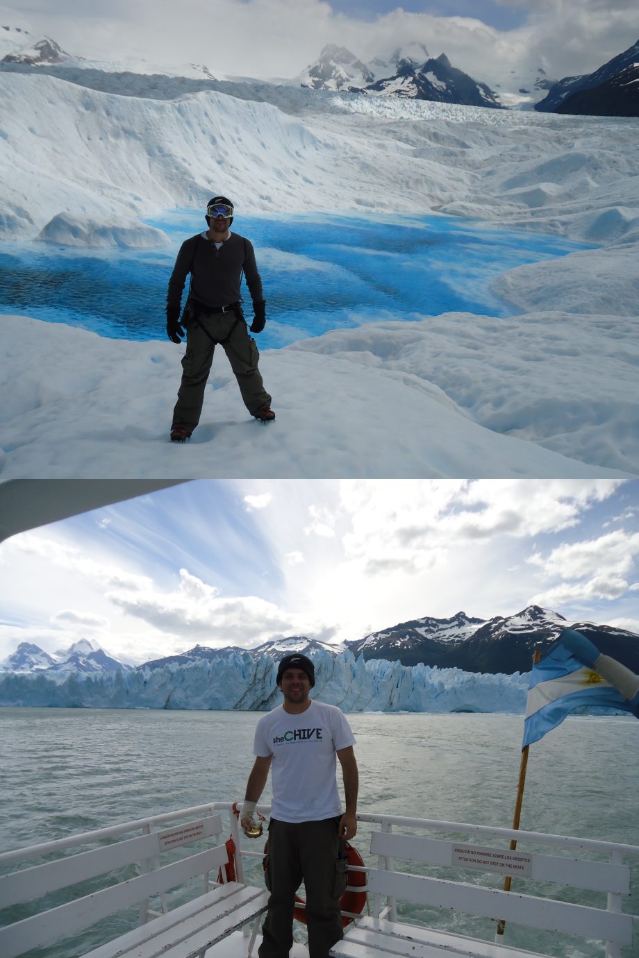 Chive Everywhere (68 Photos)