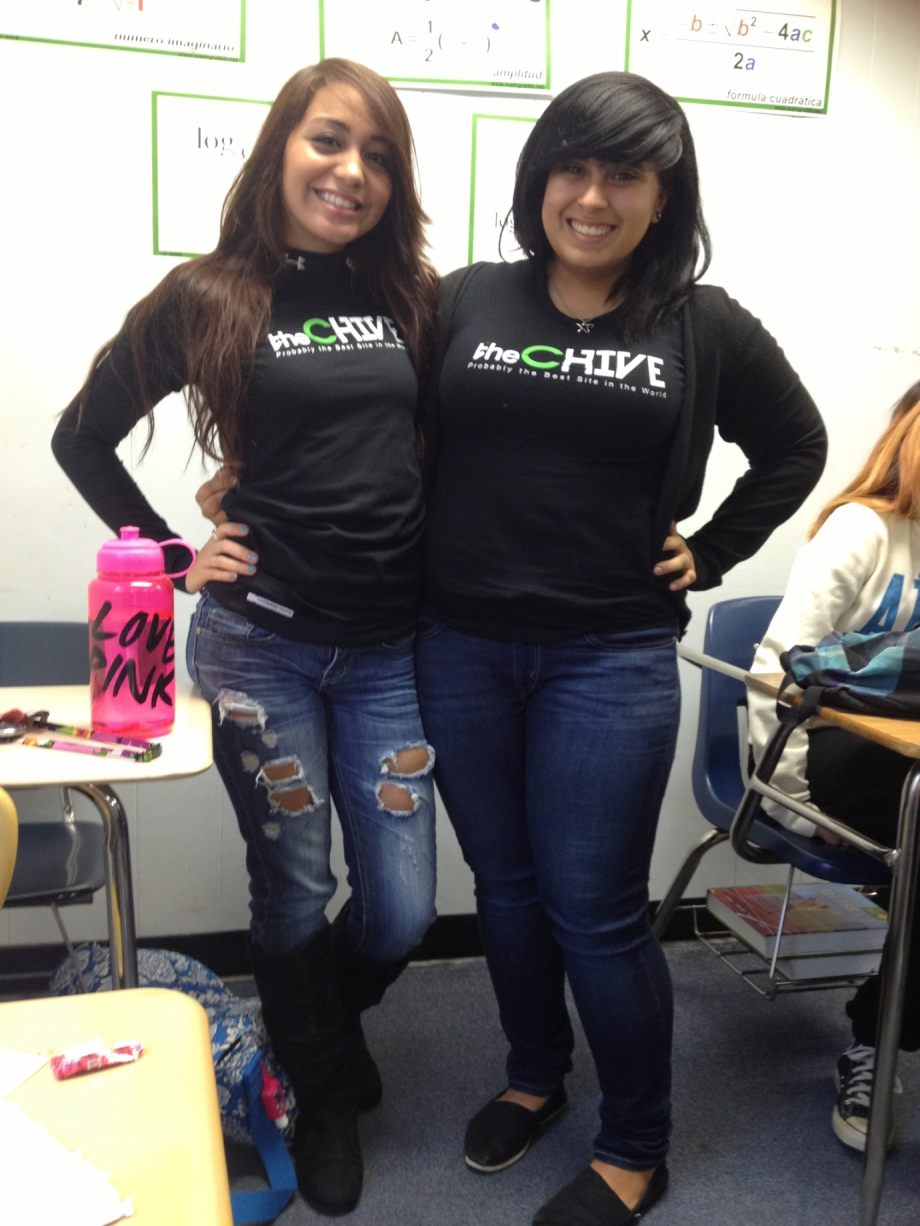 Chive Everywhere (68 Photos)