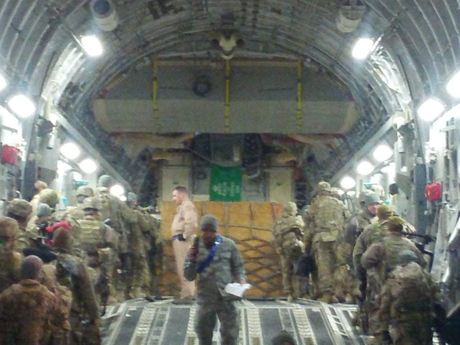 Chive Everywhere (68 Photos)