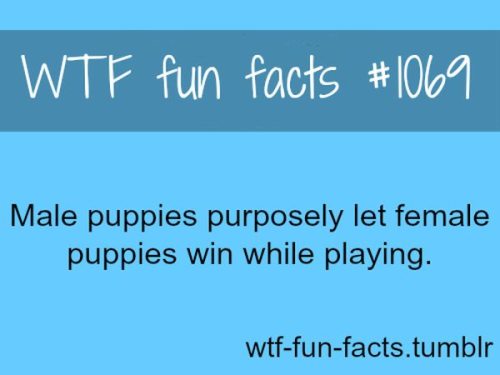 Interesting ‘WTF’ Facts that WIll Blow Your MInd - theCHIVE
