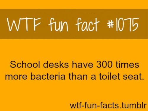Interesting ‘WTF’ Facts that WIll Blow Your MInd - theCHIVE