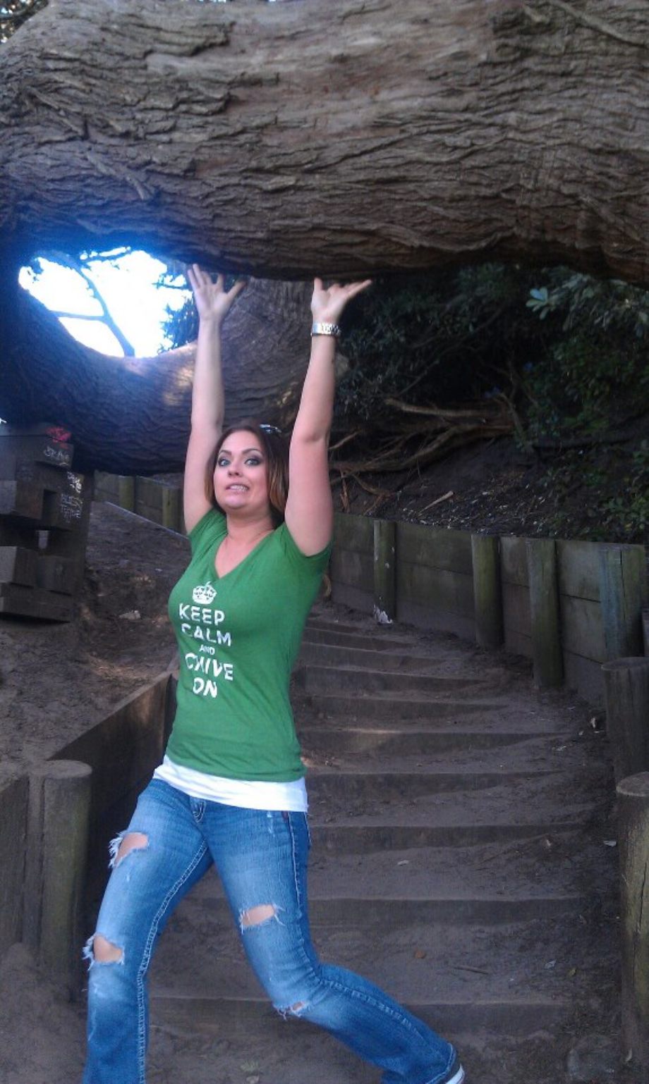 Chive Everywhere (69 Photos)