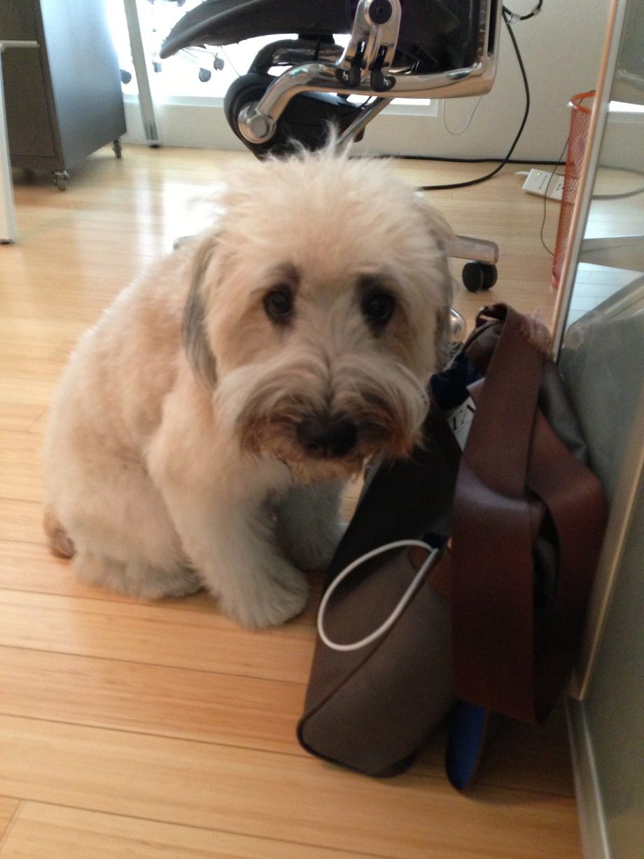 Behind the scenes at theCHIVE (40 HQ Photos)