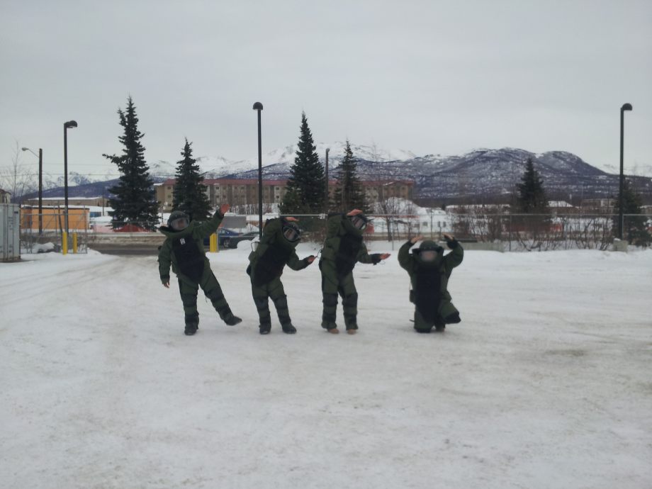 Chive Everywhere (86 Photos)