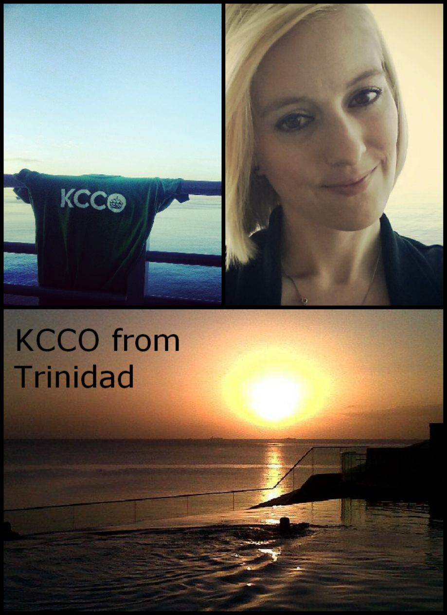 Chive Everywhere (86 Photos)